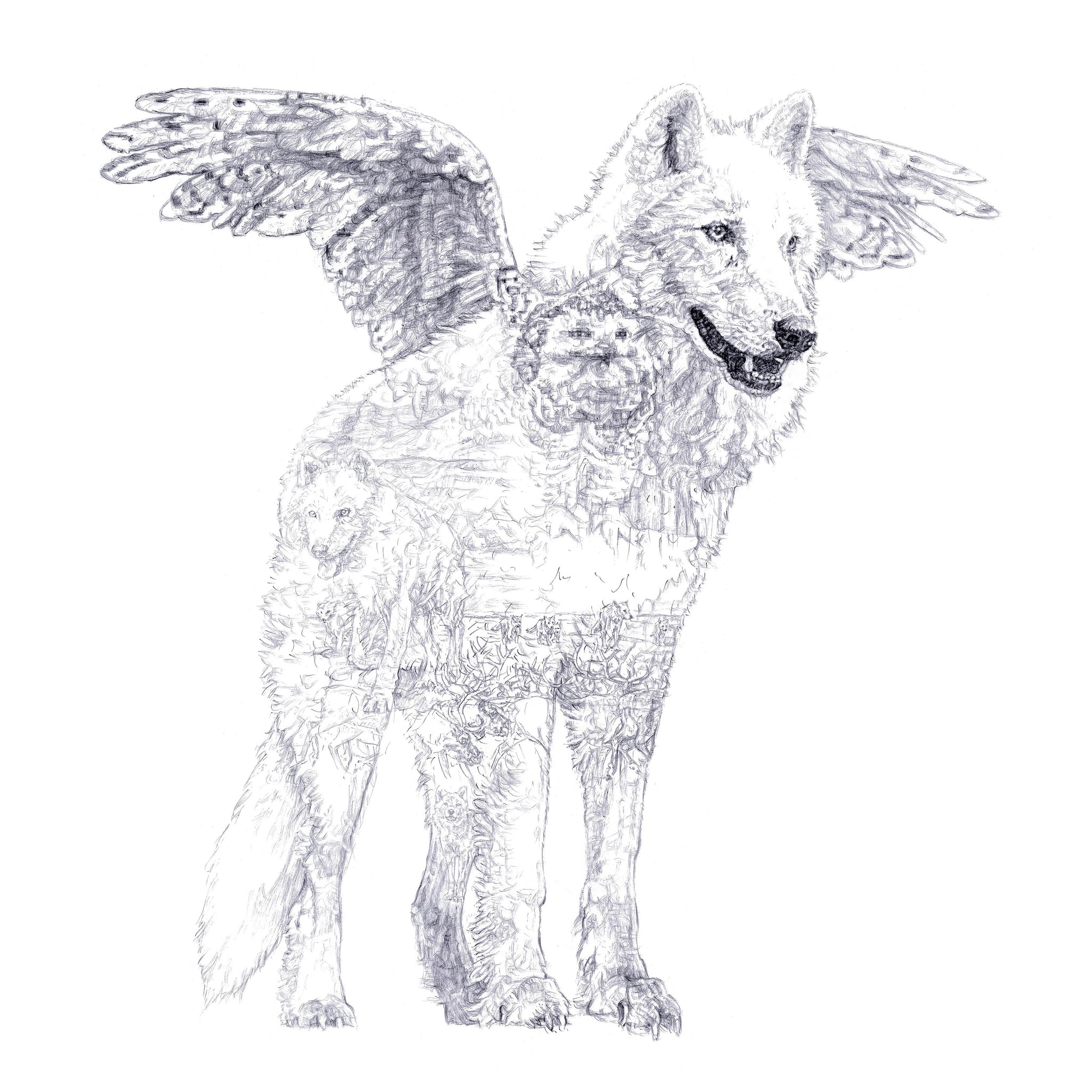 wolf drawing with wings